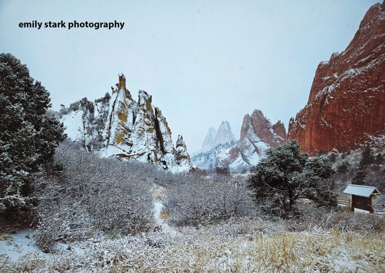 Emily Stark Photography – Photos by Emily Stark
